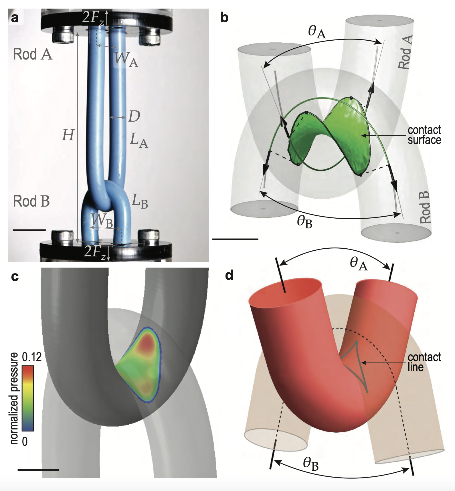 Mechanics of two filaments in tight orthogonal contact – Geometry and ...