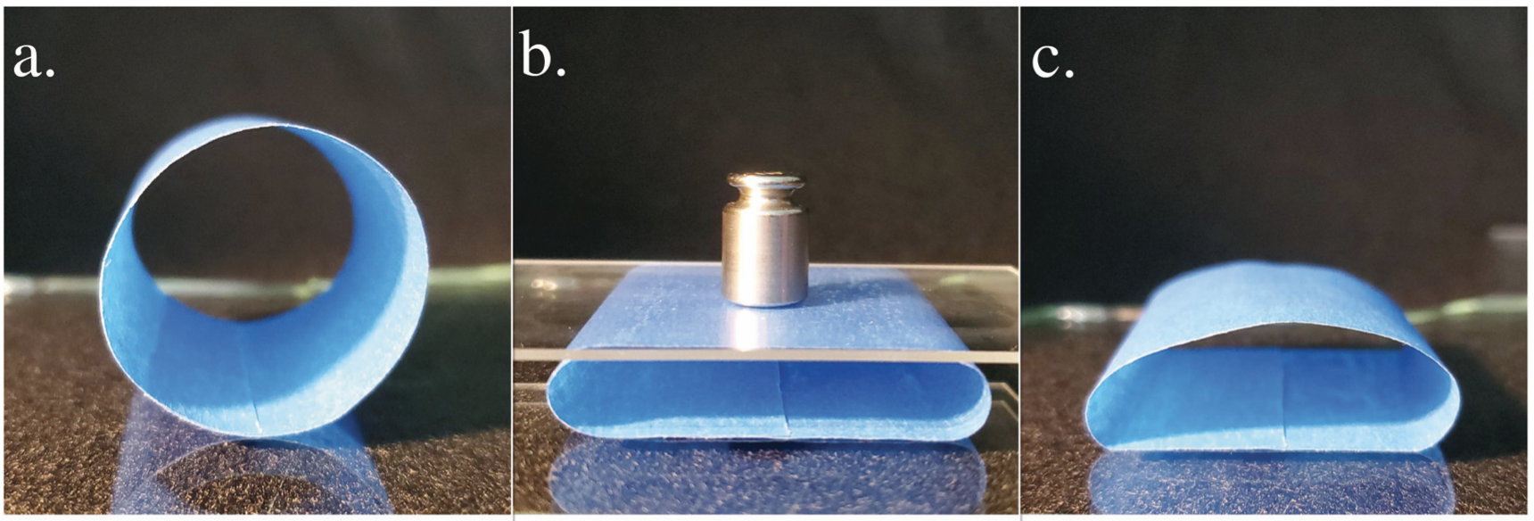Adhesion of a tape loop – Geometry and Mechanics of Solids